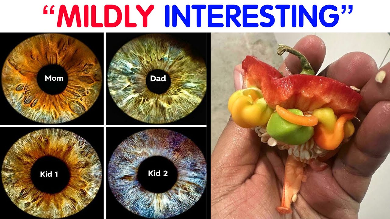 Times People Saw Something “Mildly Interesting” And Decided To Share ...