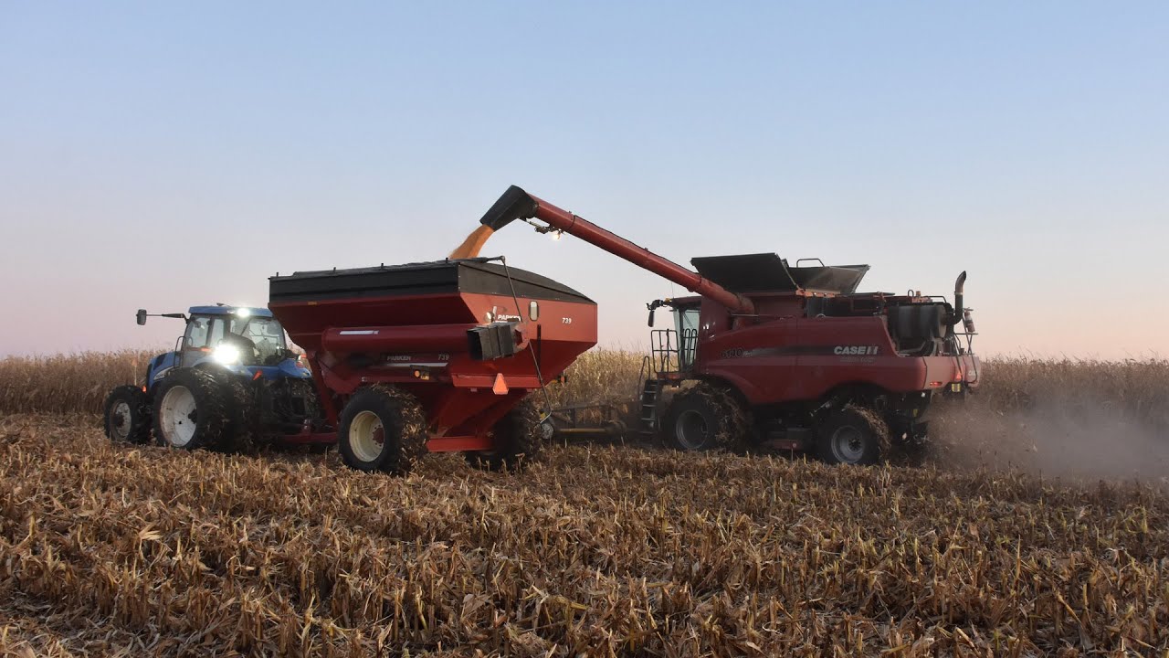 Case IH Axial Flow 6140 - mais dorsen USA - YouTube