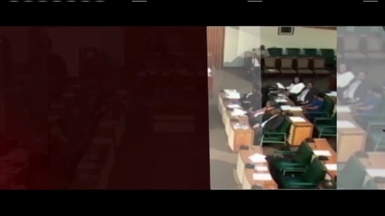 Sitting of the House of Representatives - May 19, 2020 - YouTube