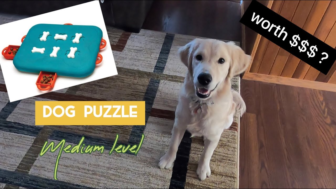 Joey hacked ADVANCED level puzzle in minutes - YouTube
