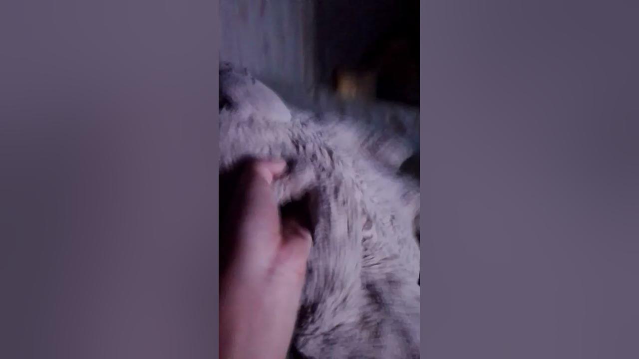 XD porel senior xoox - YouTube