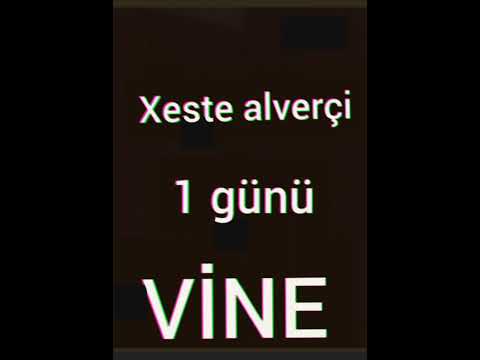 Aydın lenkaranlı ( xeste alverçi) VINE
