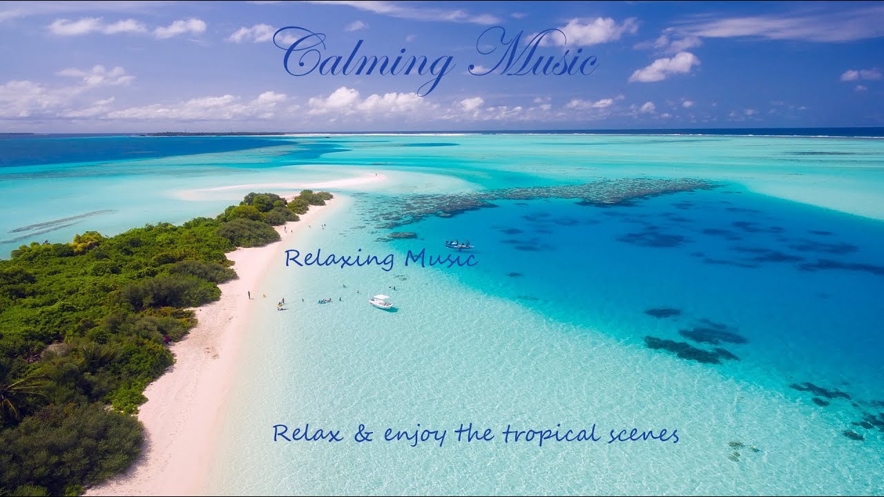 Relaxing & Calming Music: Relax & enjoy the tropical scenes - YouTube