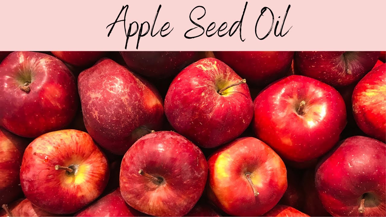 Apple Seed Carrier Oil, INCI: Pyrus Malus Seed Oil. Phenolic Acid Rich ...