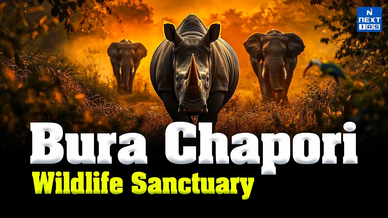 Bura Chapori Wildlife Sanctuary Explained | Assam’s Grassland ...