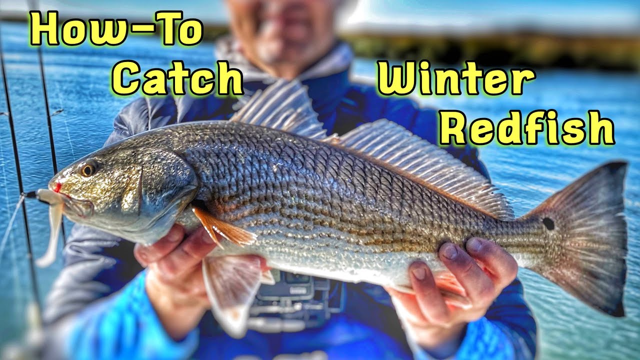 How To Find Winter Redfish - YouTube