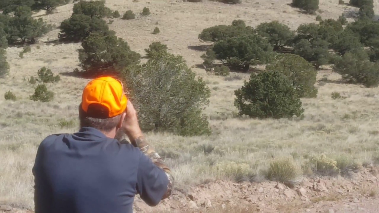 Wyatt's first Buck - YouTube