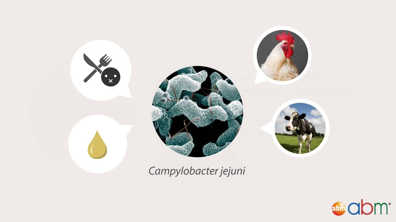 5) Next Generation Sequencing (NGS) - Applications of Whole Genome ...