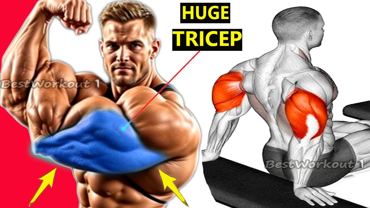 Complete Triceps Workout: Long Head & Lateral Head Exercises - YouTube