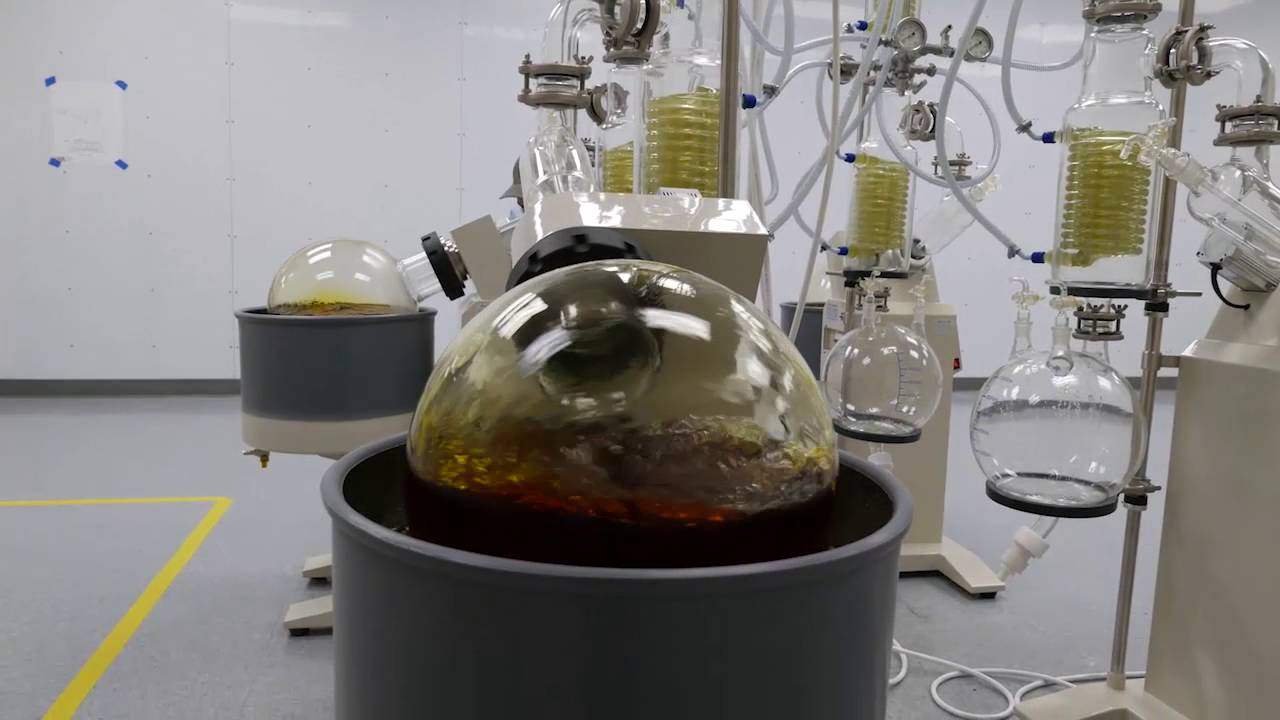 FACT: Care By Design cannabis oil is extracted with non-flammable C02 ...