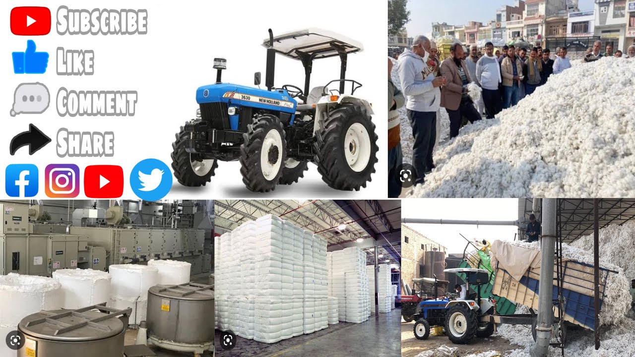 Cotton ch hoya big lose😰| Cotton purification♻️| Dhan mandi sgnr⛺️|# ...