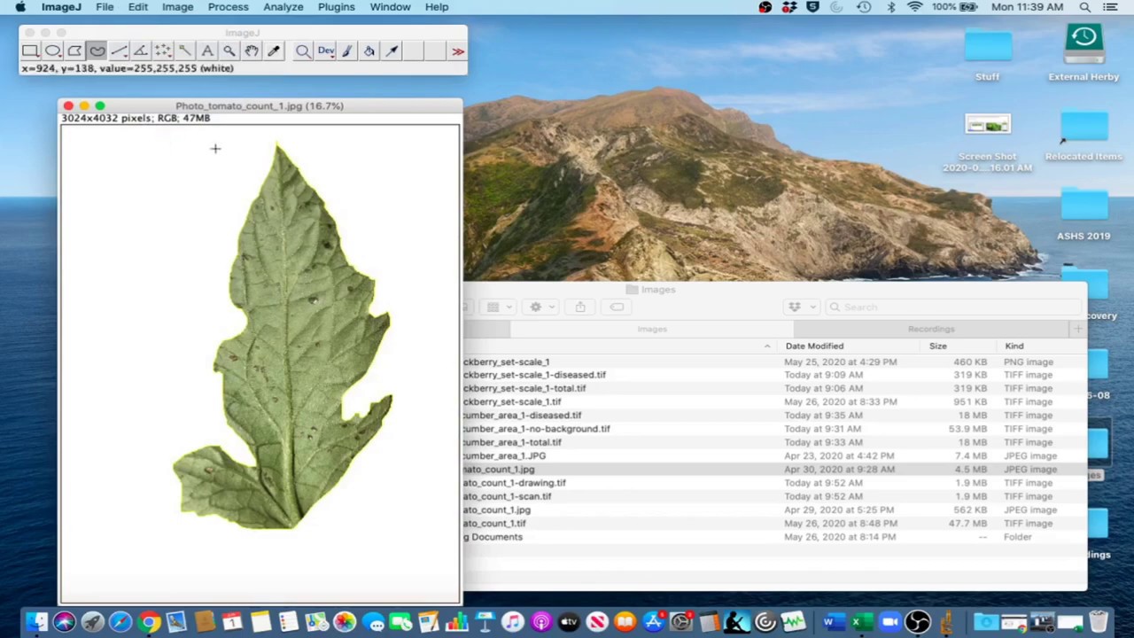 ImageJ Tutorial 1.7 - Count Leaf Lesions (Field Photo) - YouTube