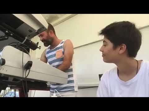 Tuana Özkurt / Ağlama beni ana