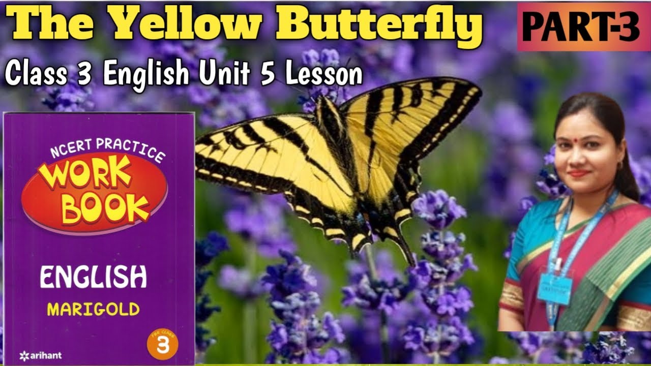 The Yellow Butterfly Class 3 English Workbook | The Yellow Butterfly ...