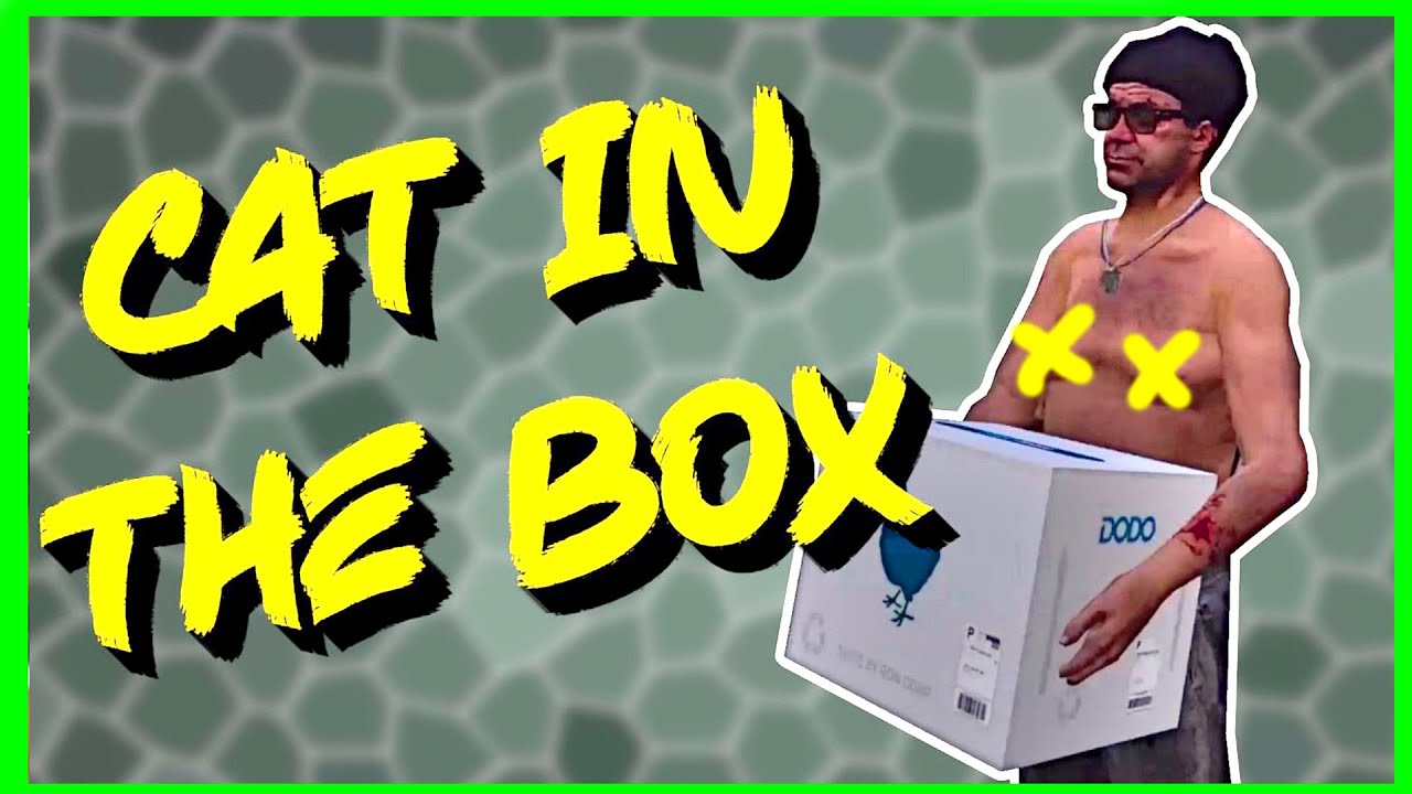 BILLY SPRINKLE: CAT IN THE BOX - YouTube