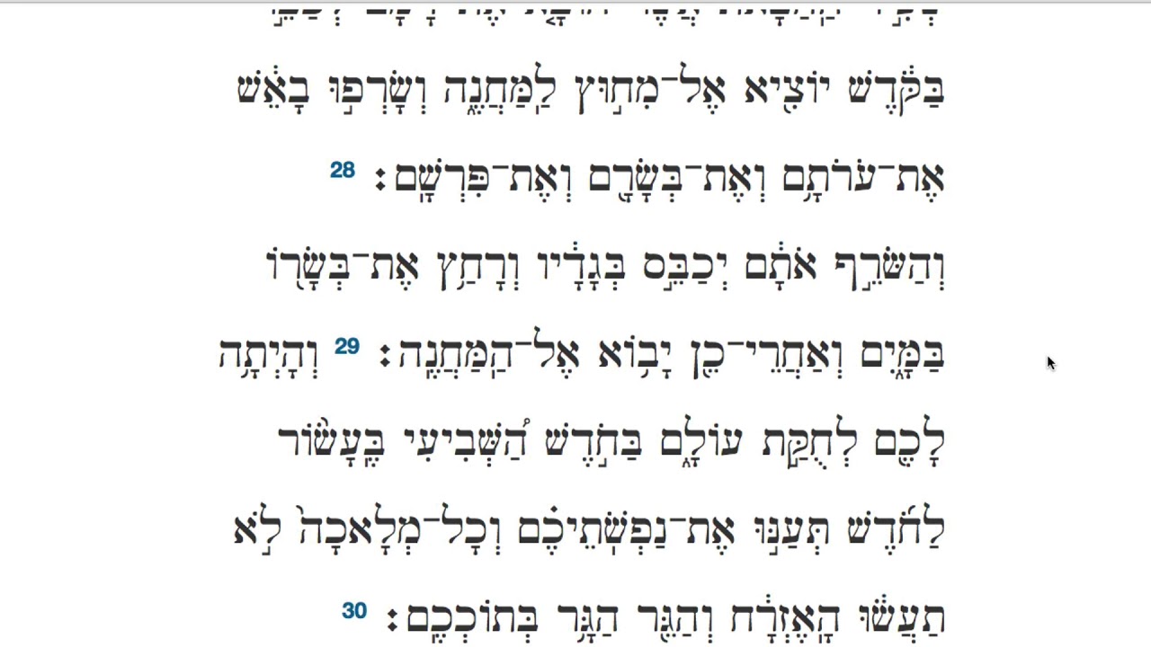 Yom Kippur Torah Reading: Fifth Aliyah - YouTube