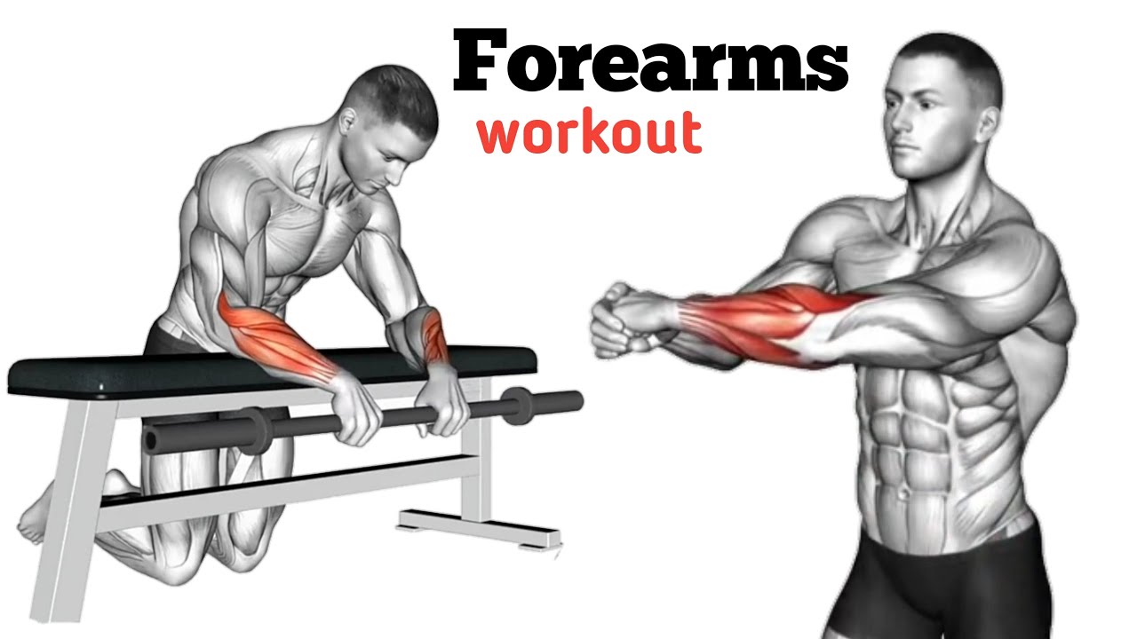 How to Grow Your FOREARMS (Best workout) || - YouTube