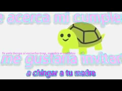 Meme tortuga bailando 💃💃 - YouTube
