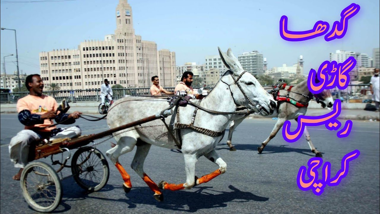Donkey Cart Race Competition in Lyari Karachi | Donkey Cart Race Competition | Commissioner ...