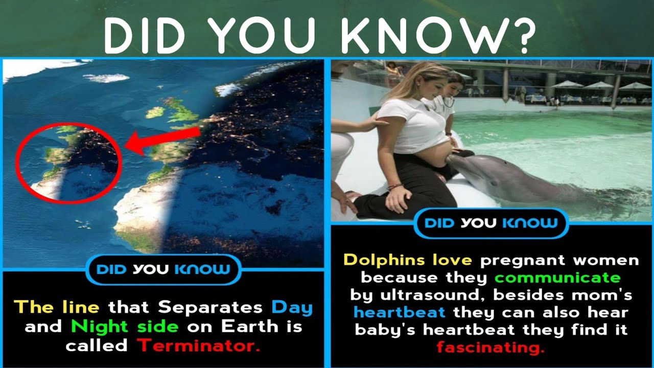 DID YOU KNOW FACTS #187 AMAZING FACTS😲, INTRESTING FACTS 🤩 and HEALTHY ...