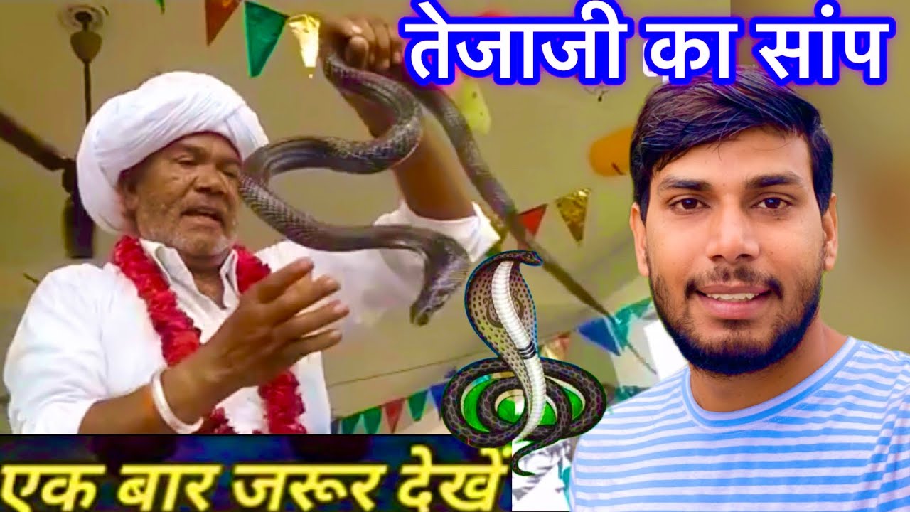 तेजाजी का सांप || तेजाजी || तेजा दशमी की हार्दिक शुभकामनाएं Rajesh vlog ...