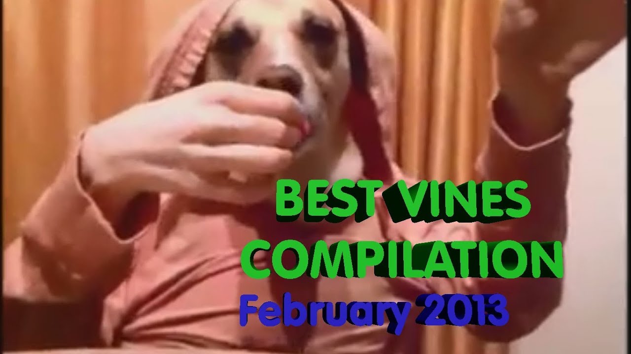 Best Vines Compilation February 2013 [epic, awesome, funny] - YouTube