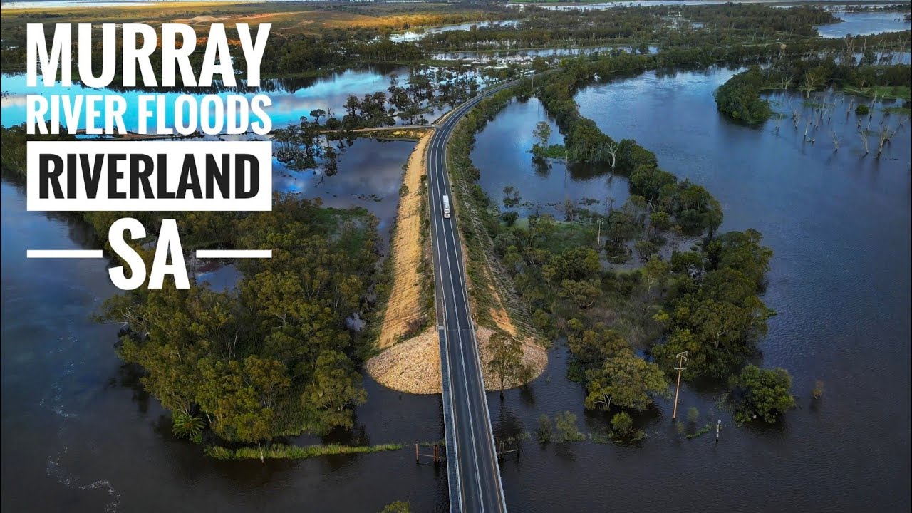 Murray River Floods 23 Nov 2022 - Riverland, SA - Barmera, Moorook, and ...