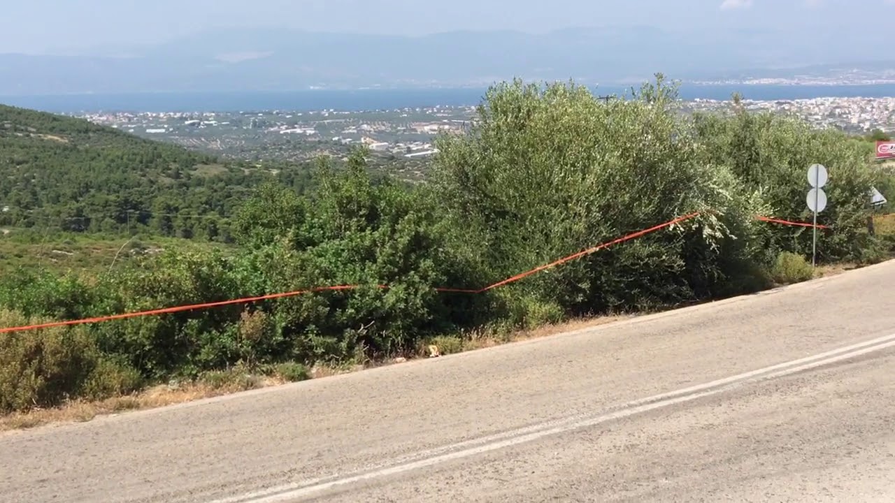 Soldatos Takis - Ford Fiesta RS - Ritsona 2019 - YouTube