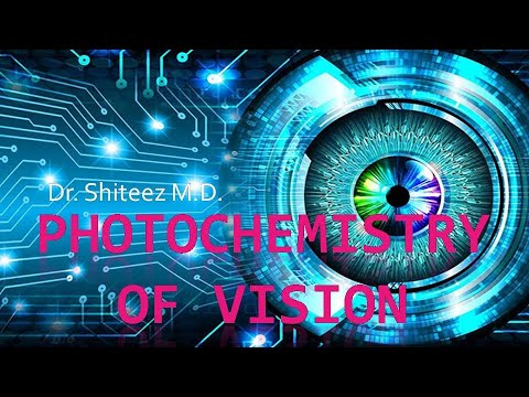 Photochemistry Of Vision - YouTube