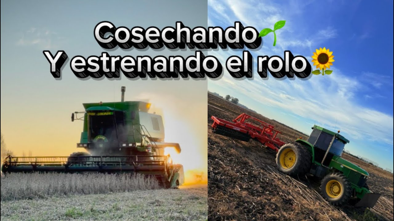 COSECHANDO SOJA Y ESTRENANDO EL ROLO EN 🌻 (AgroRan) - YouTube