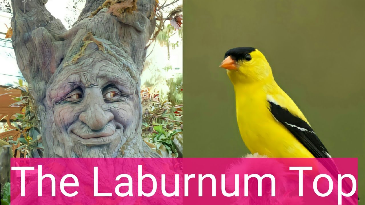 The Laburnum Top - LINE BY LINE EXPLANATION |Class 11 | In Hindi ...