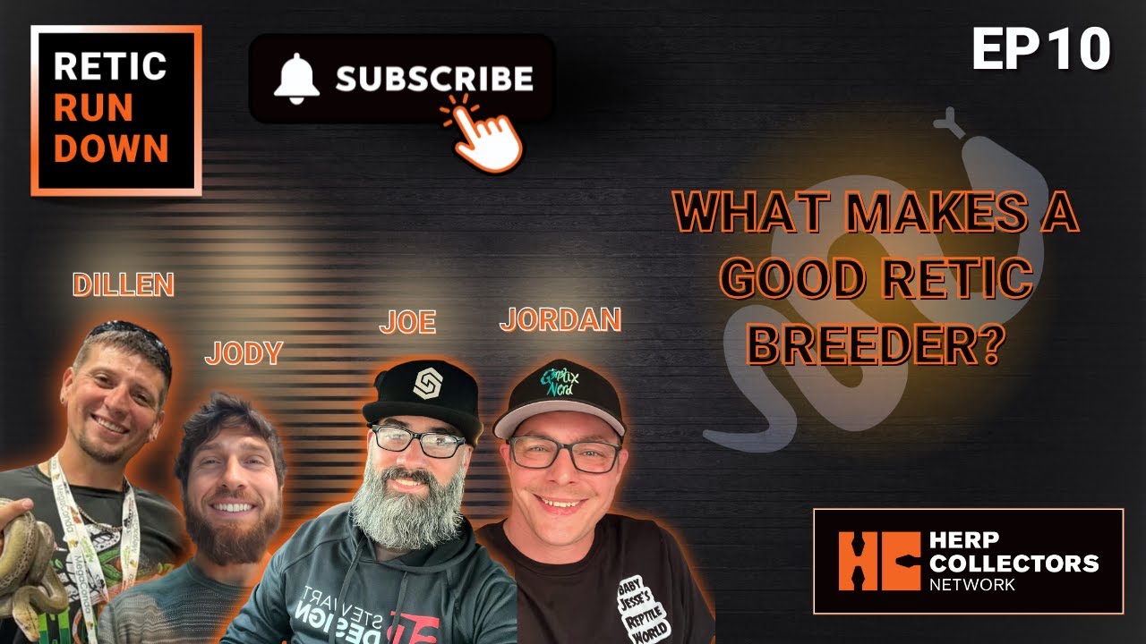 EP10 - What Makes A Good Retic Breeder? - YouTube