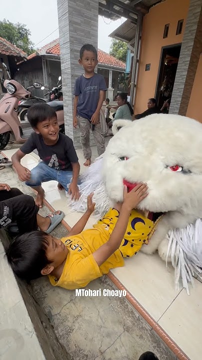 Bocil ff sedang dimakan can macanan - YouTube