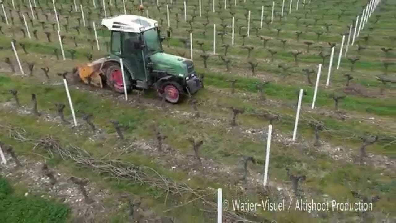 Pré-taille et taille de la vigne suivi du broyage des sarments - YouTube