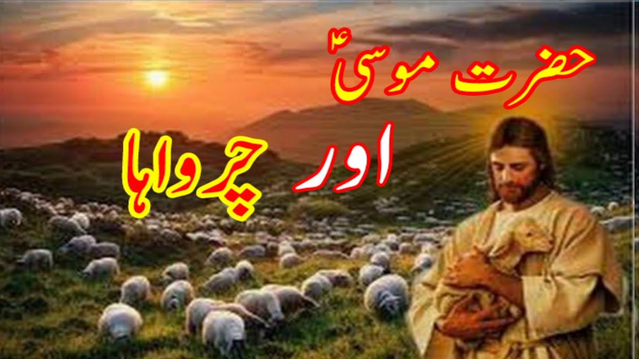 Hazrat musa As or charwaha/by haripur lover/ - YouTube