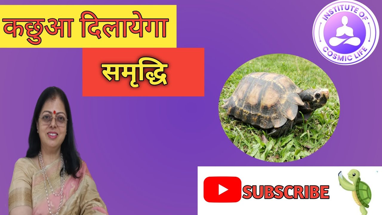 कछुआ दिलायेगा समृद्धि/ Tortoise se dhan ki prapti kaise kare/ वास्तु ...