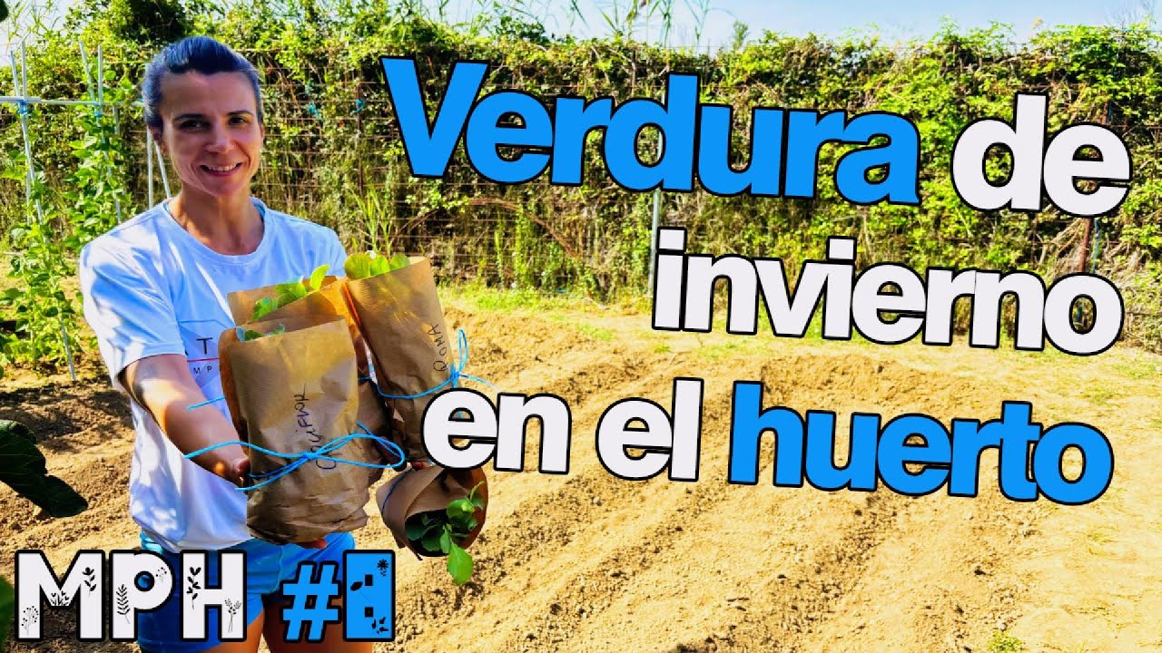 ¡Cultivo las MEJORES VERDURAS de INVIERNO en mi HUERTO! - YouTube