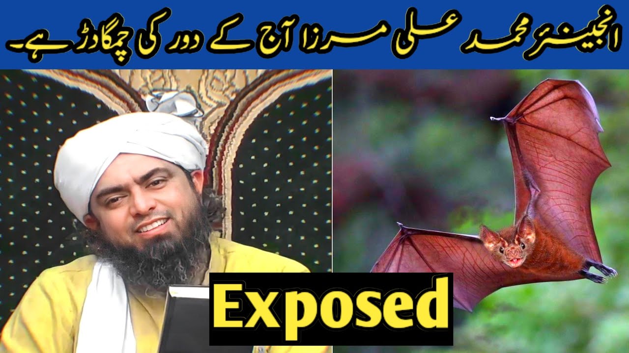 The Example of the Bat and Muhammad Ali Mirza | A Comparison | Amir ...