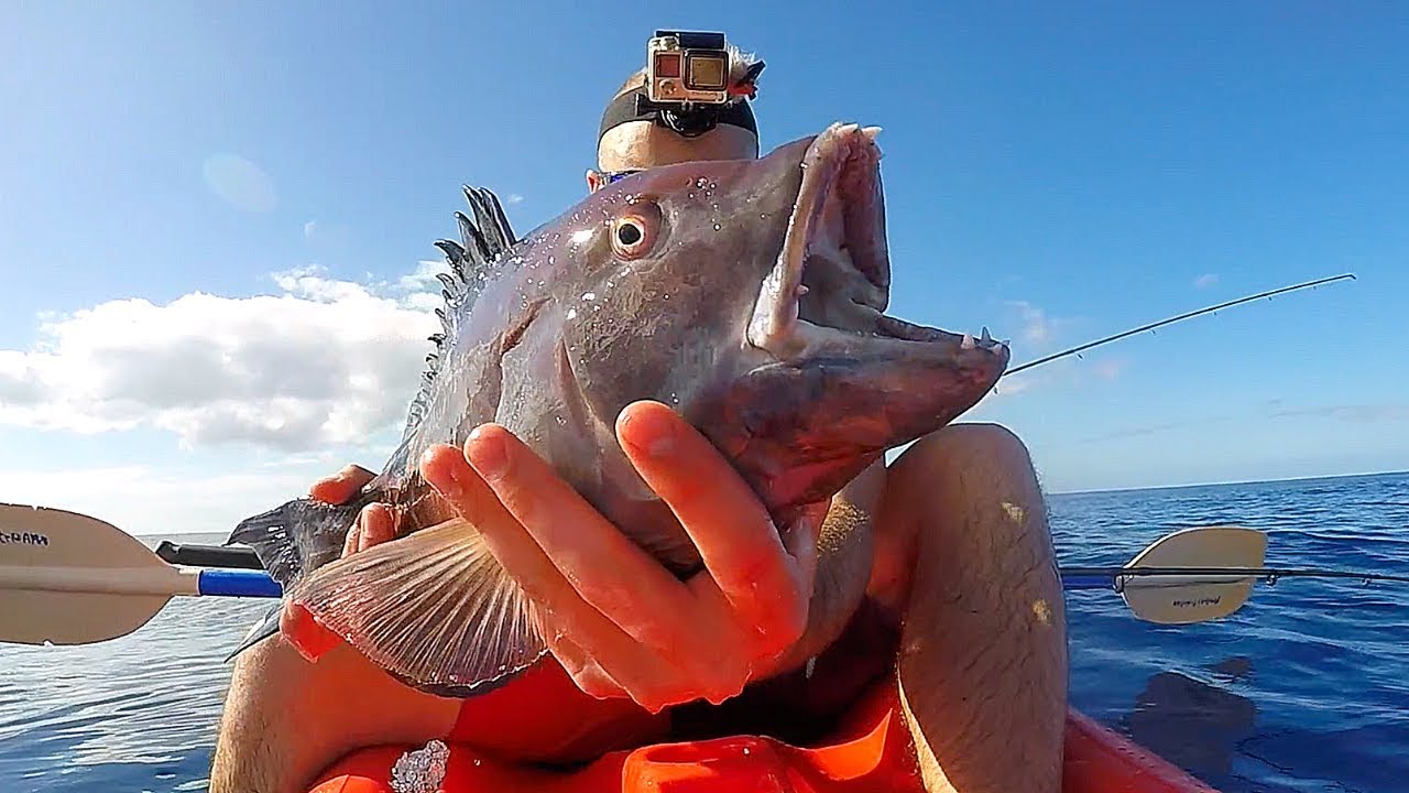 Catching Big, Toothy HOGFISH in Hawaii!! - YouTube
