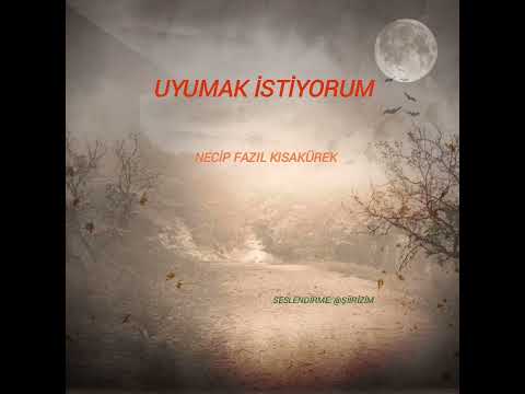 Uyumak istiyorum Necip Fazıl Kısakürek @siirizim1098