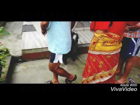 DASHAIN RITUAL"Sacrificing himalayan goat "CHANGRA" - YouTube