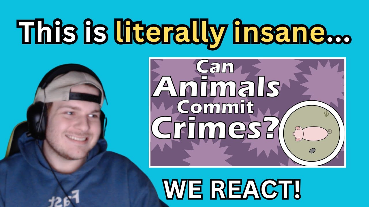Can Animals Commit Crimes? - Historia Civilis Reaction - YouTube