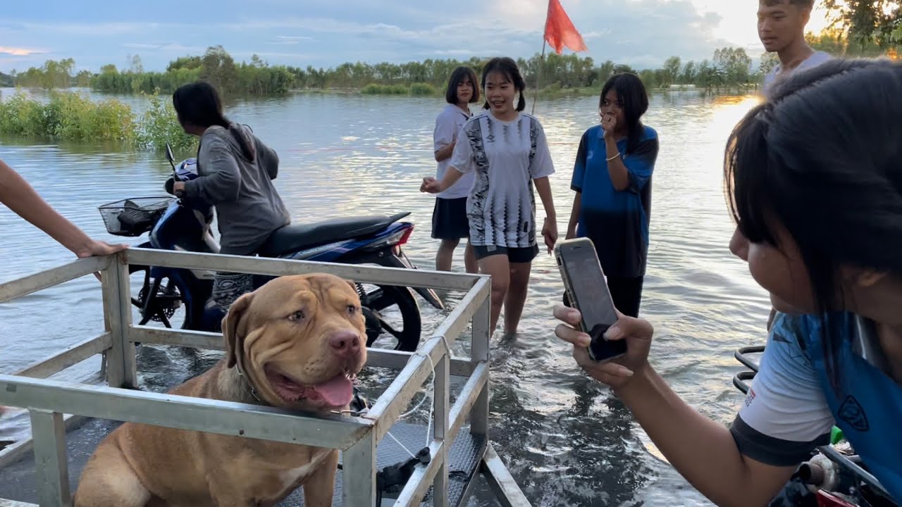 ระทึก ️พาเต๋าไปวัดระดับนำ้ เจอสาวดักไปไม่ได้ เพราะอะไร - YouTube