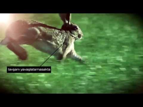 Özkursan COM Tavşan Özel