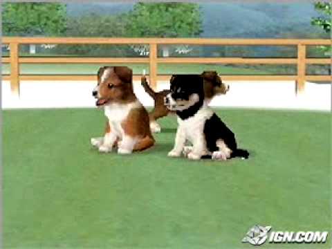 Nintendogs Video 3 - YouTube