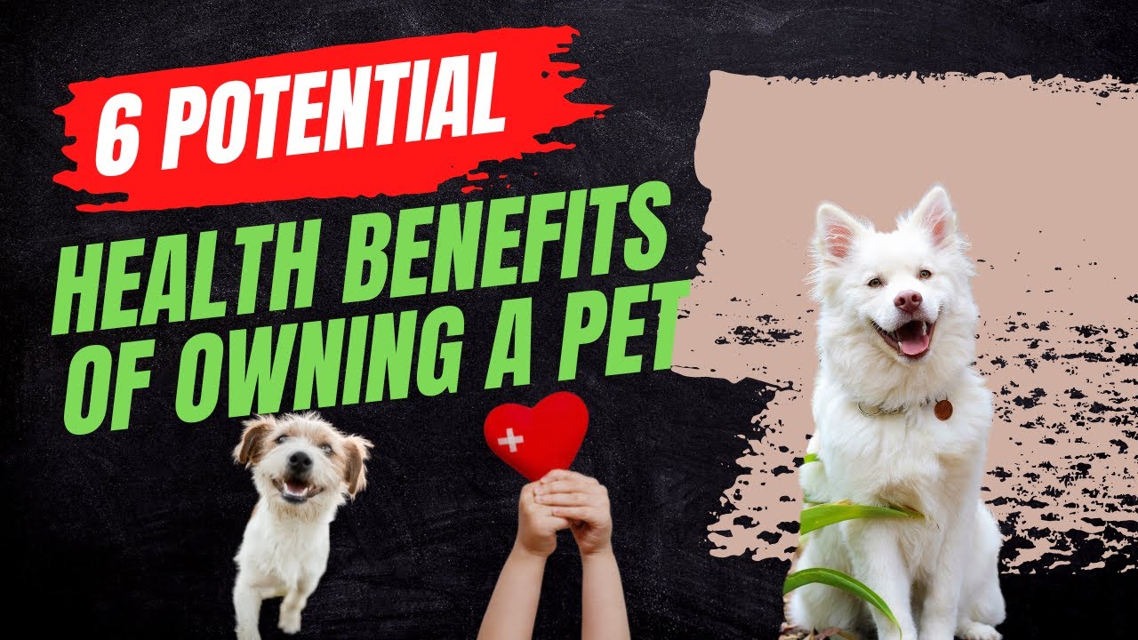 6 Potential Health Benefits of Owning a Pet - YouTube