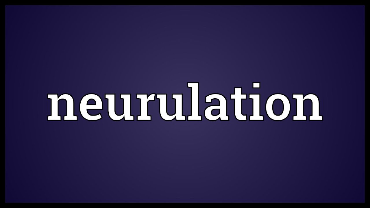 Neurulation Meaning - YouTube