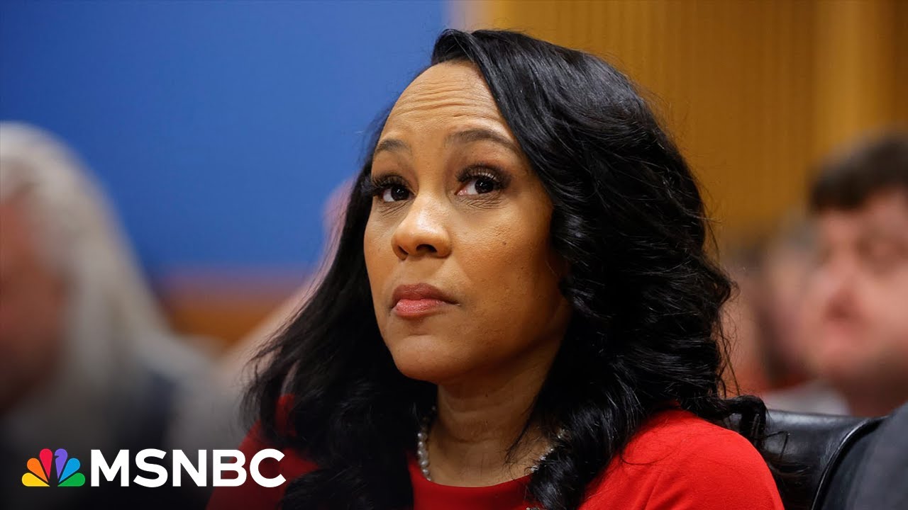 'Never met the threshold': Lisa Rubin on Fani Willis Disqualification ...