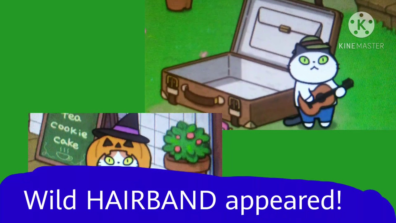 Battle for Fantastic Cats (Wii U Bootleg) Game Over - YouTube