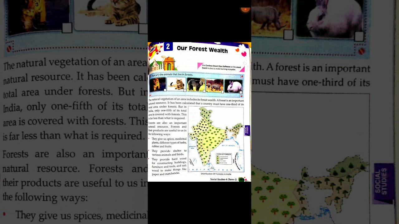 STD-4 S.S Ch-2 Term-2 Our Forest Wealth - YouTube